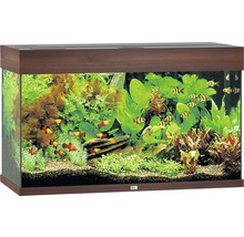Akvarijný set JUWEL Rio 125 LED tmavo hnedý 125 l - HORNBACH